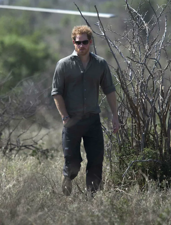 Prince Harry nearly killed in shock incident | New Idea