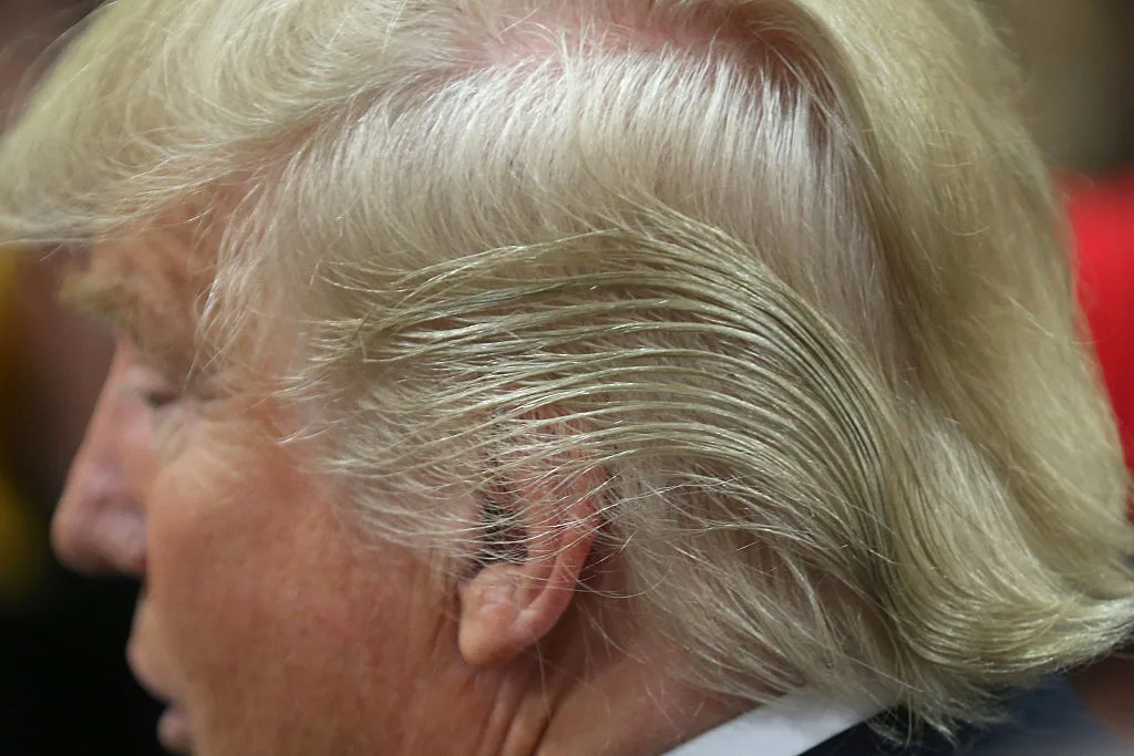 Donald Trump Hair: 8 Best Pics of Trump's Hair | New Idea