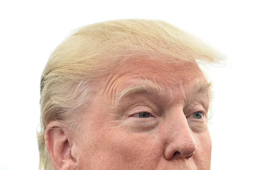 Donald Trump Hair: 8 Best Pics of Trump's Hair | New Idea