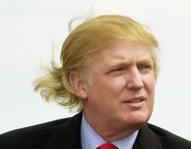 Donald Trump Hair: 8 Best Pics of Trump's Hair | New Idea