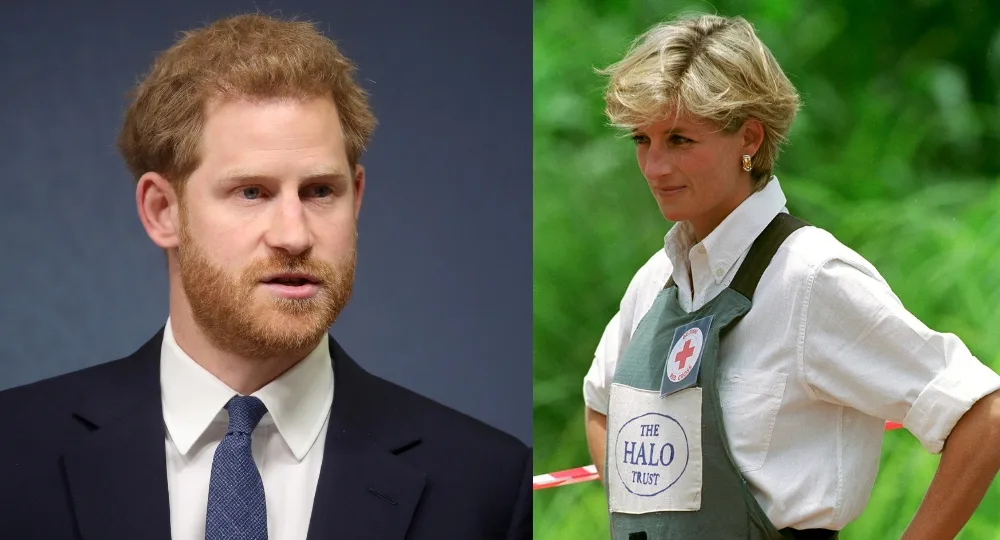 Prince Harry pays tribute to Princess Diana in emotional speech | New Idea