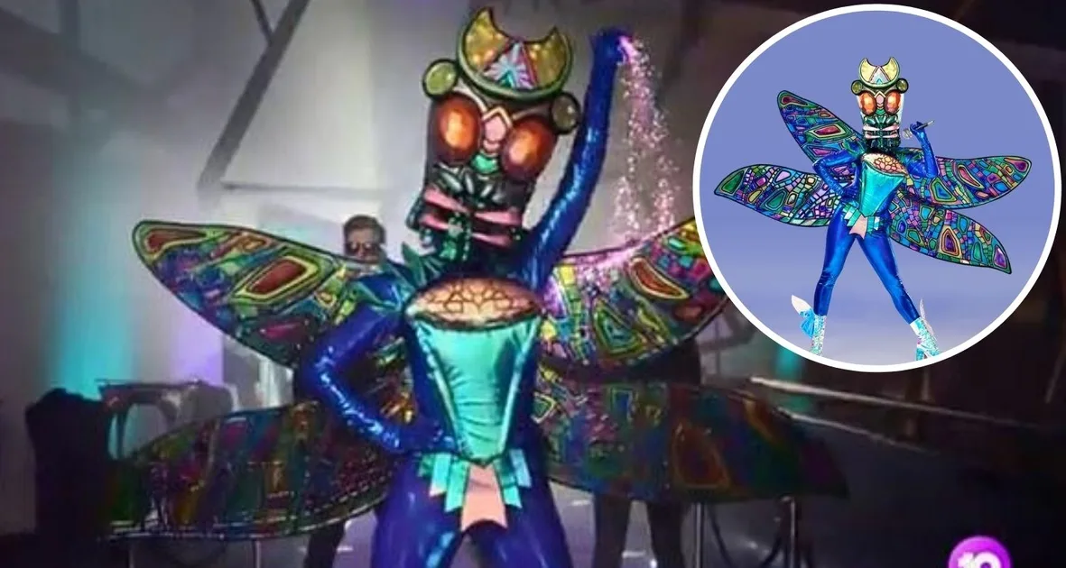 The Masked Singer Australia 2020: Who is Dragonfly? | New Idea
