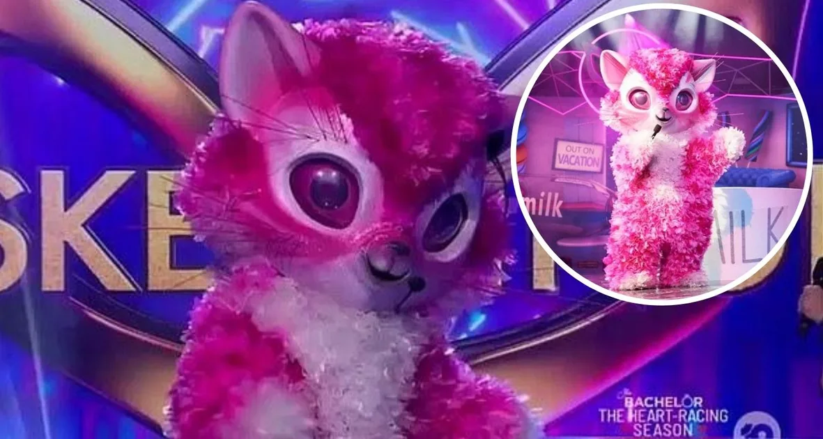 The Masked Singer Australia 2020: Who is Kitten? | New Idea