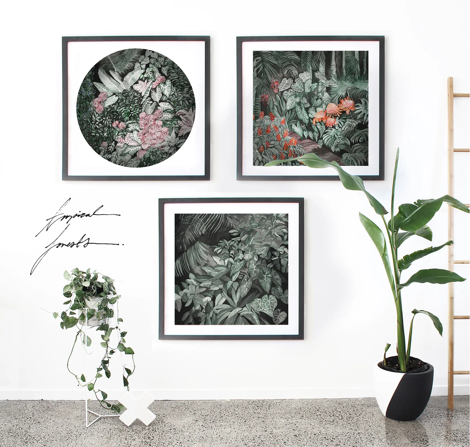 Greatest hits from New Zealand artist Leden - Your Home and Garden NZ