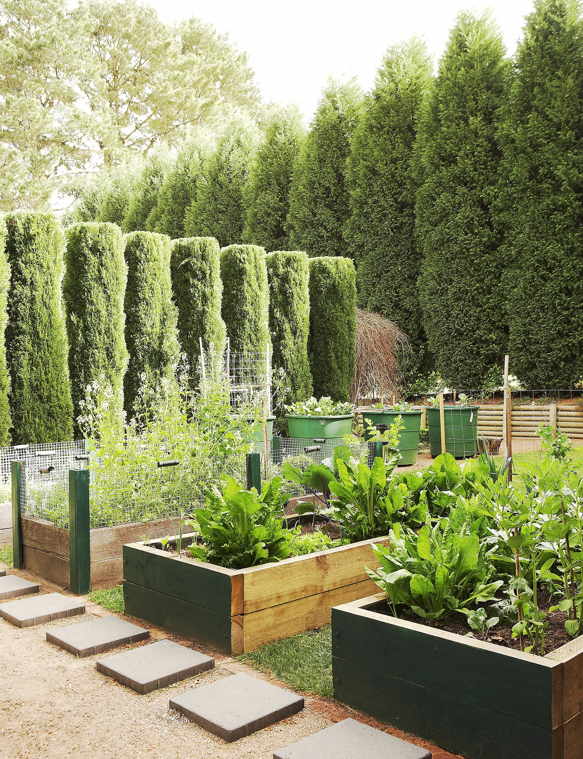 10 of the latest gardening trends - Your Home and Garden NZ