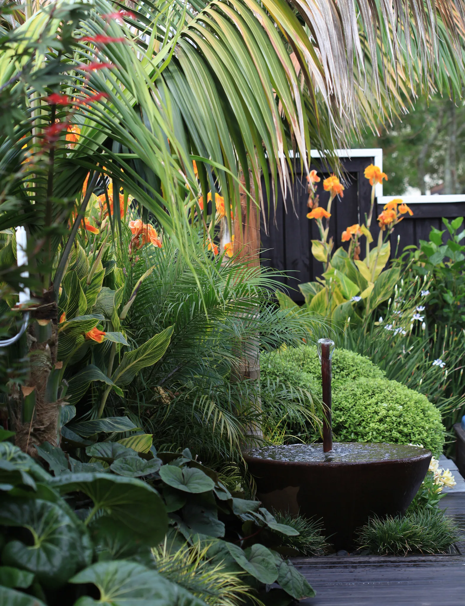 A landscape designer's own garden design is a tropical paradise - Your ...