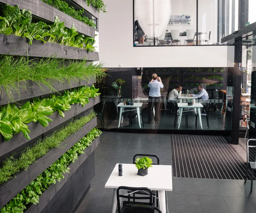 Everything you need to know about living walls