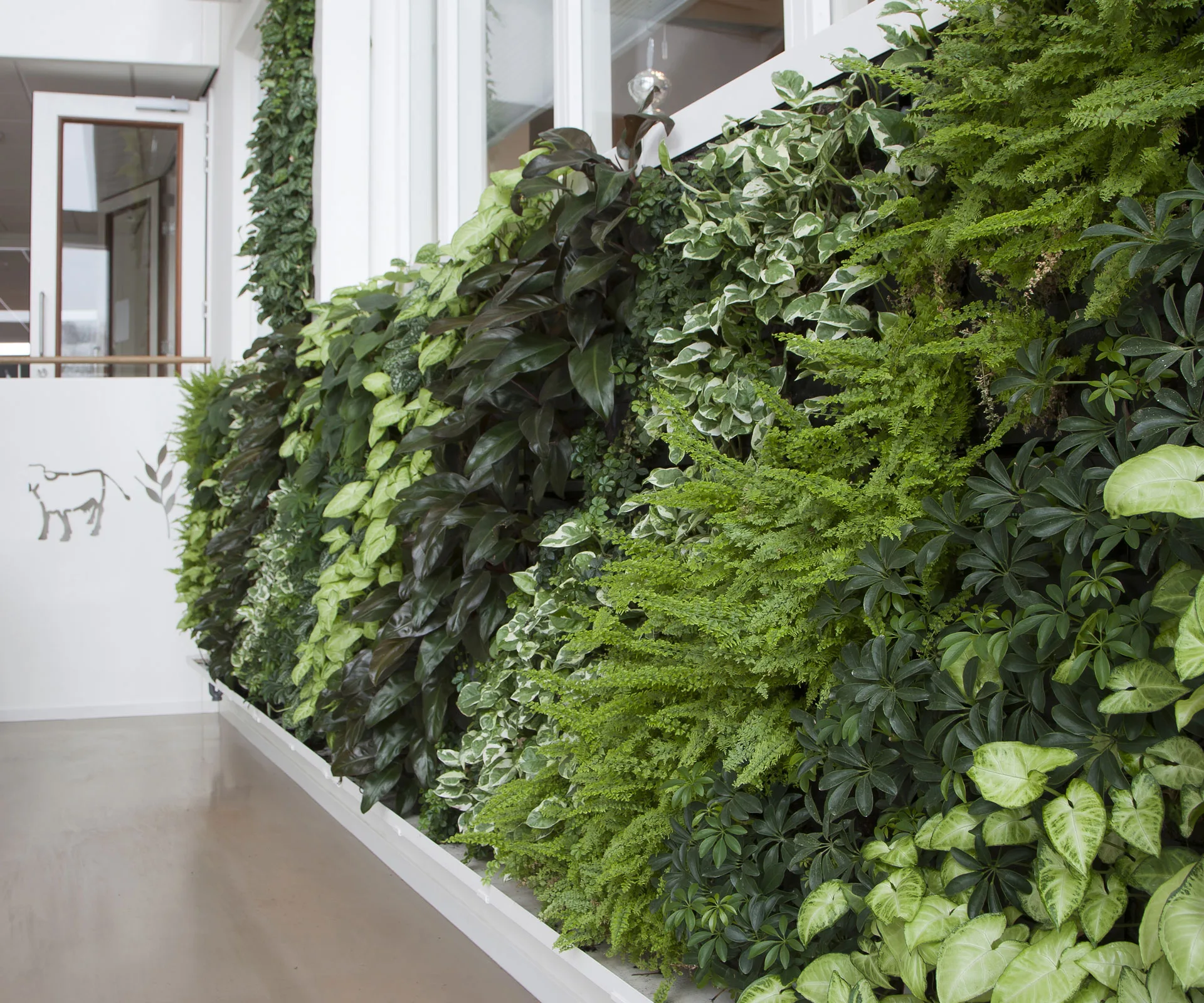 Everything you need to know about living walls