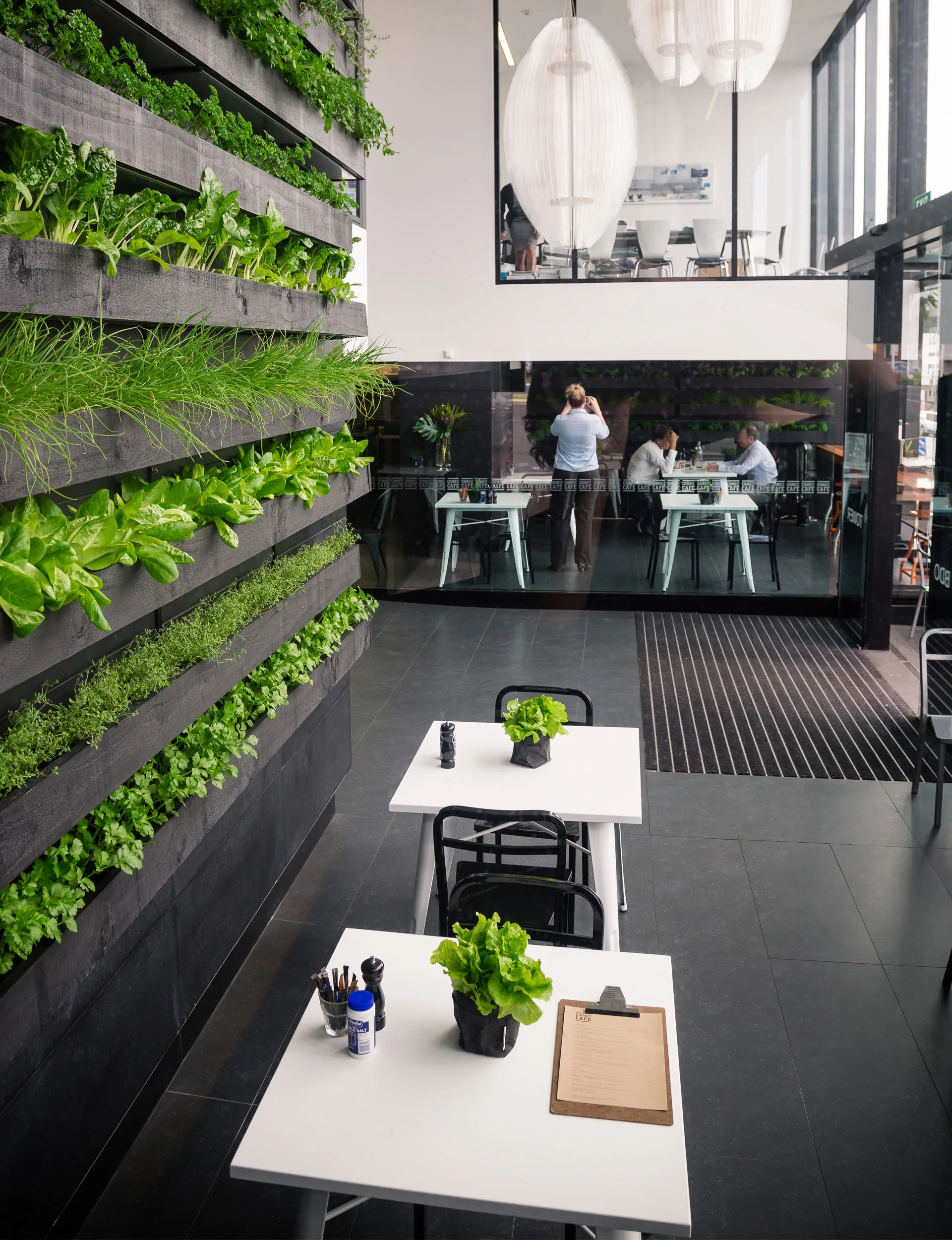 Everything you need to know about living walls