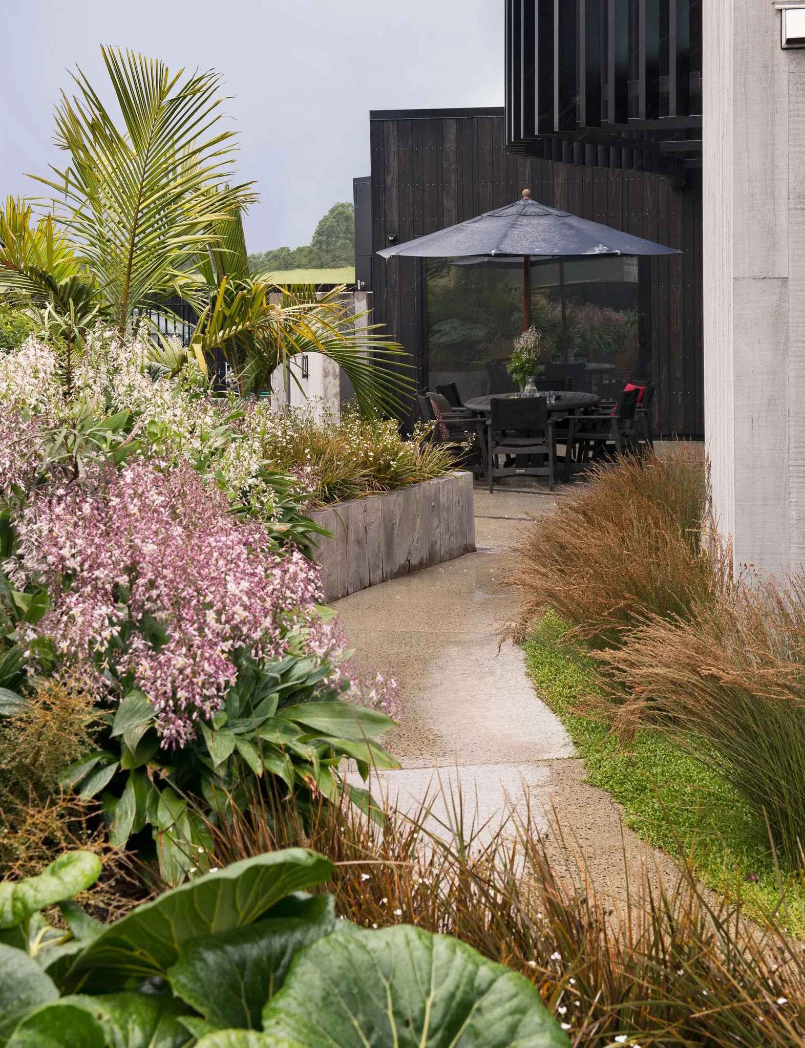 A new-build uses native planting to blend into its mangrove surroundings