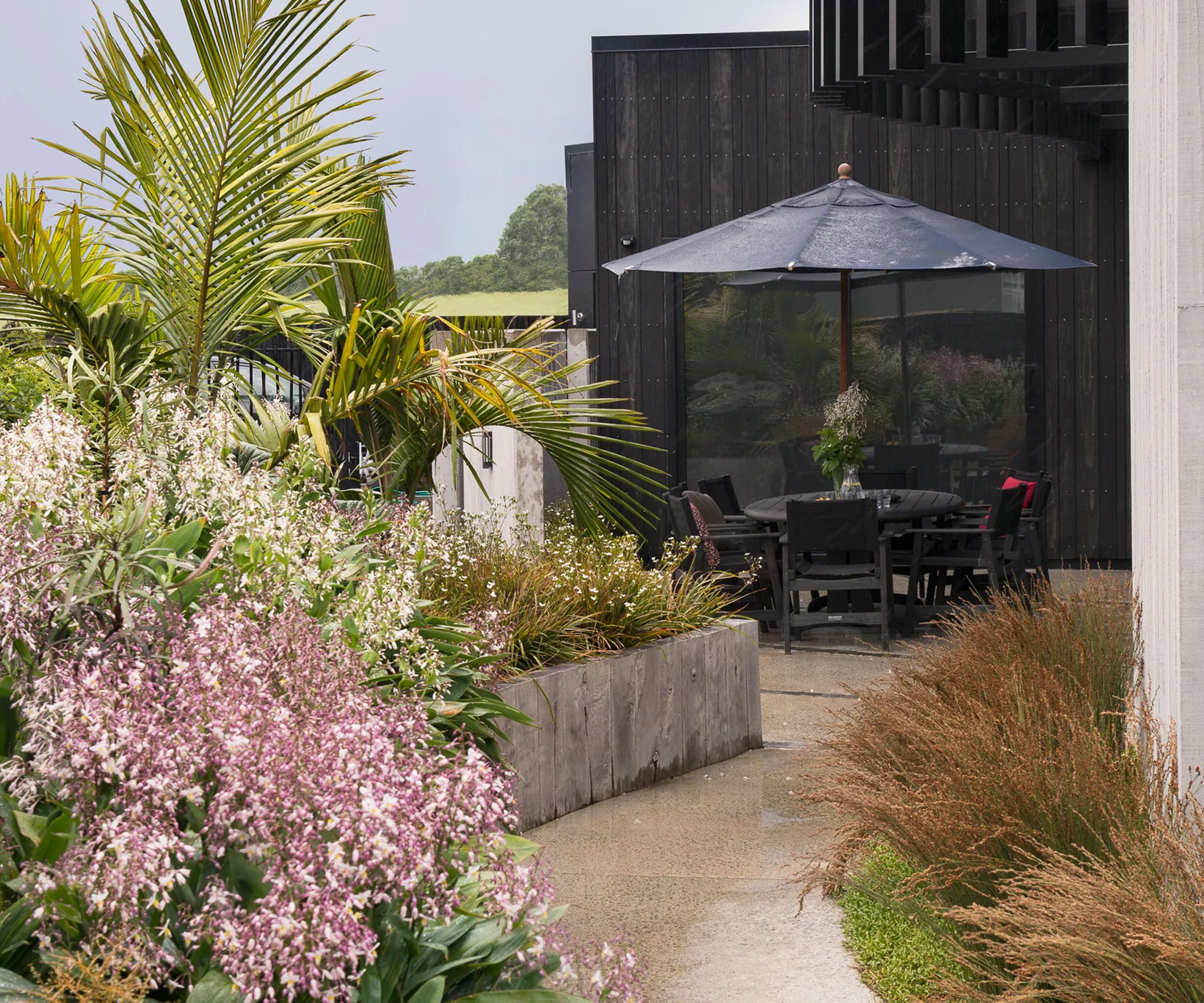 A new-build uses native planting to blend into its mangrove surroundings