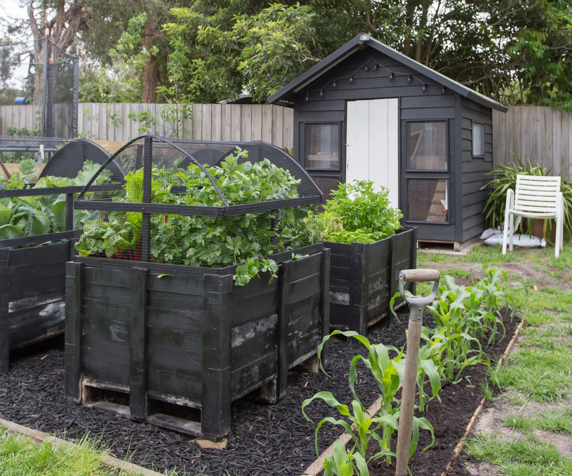 This coastal garden features a raised vegetable patch
