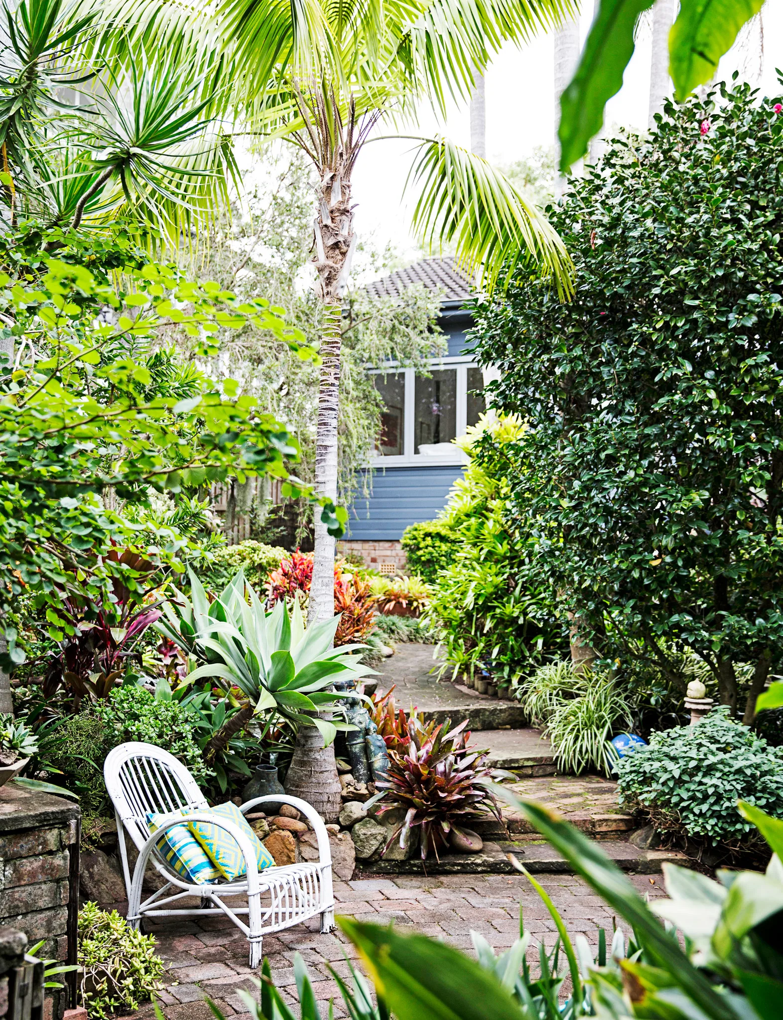 How a subtropical planting gave this garden a lush oasis feel