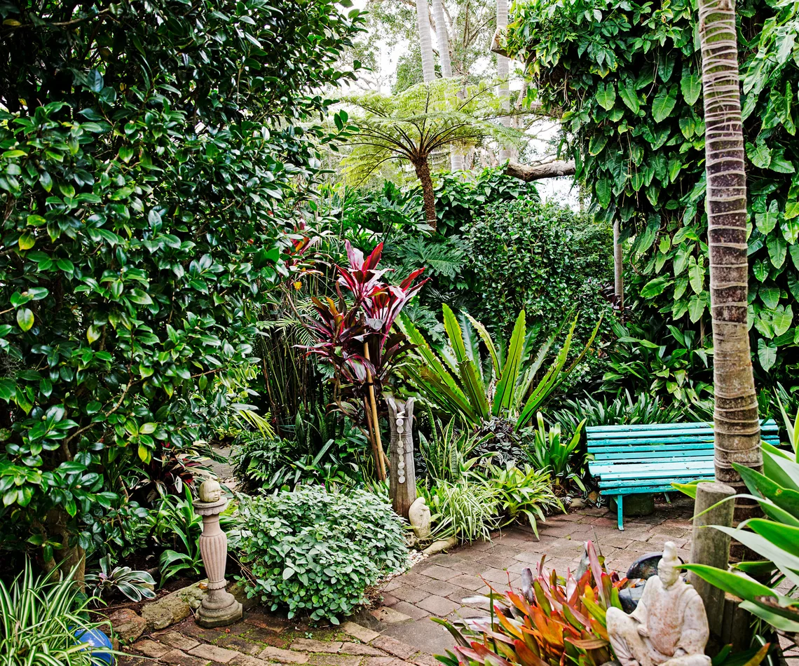 How a subtropical planting gave this garden a lush oasis feel