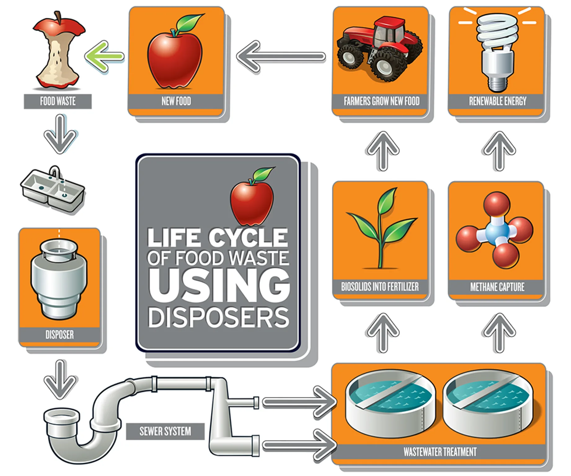 How you can get rid of food waste in an eco-friendly way