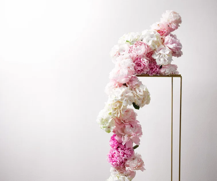 Hydrangeas: Everything you need to know about these bouncy blooms