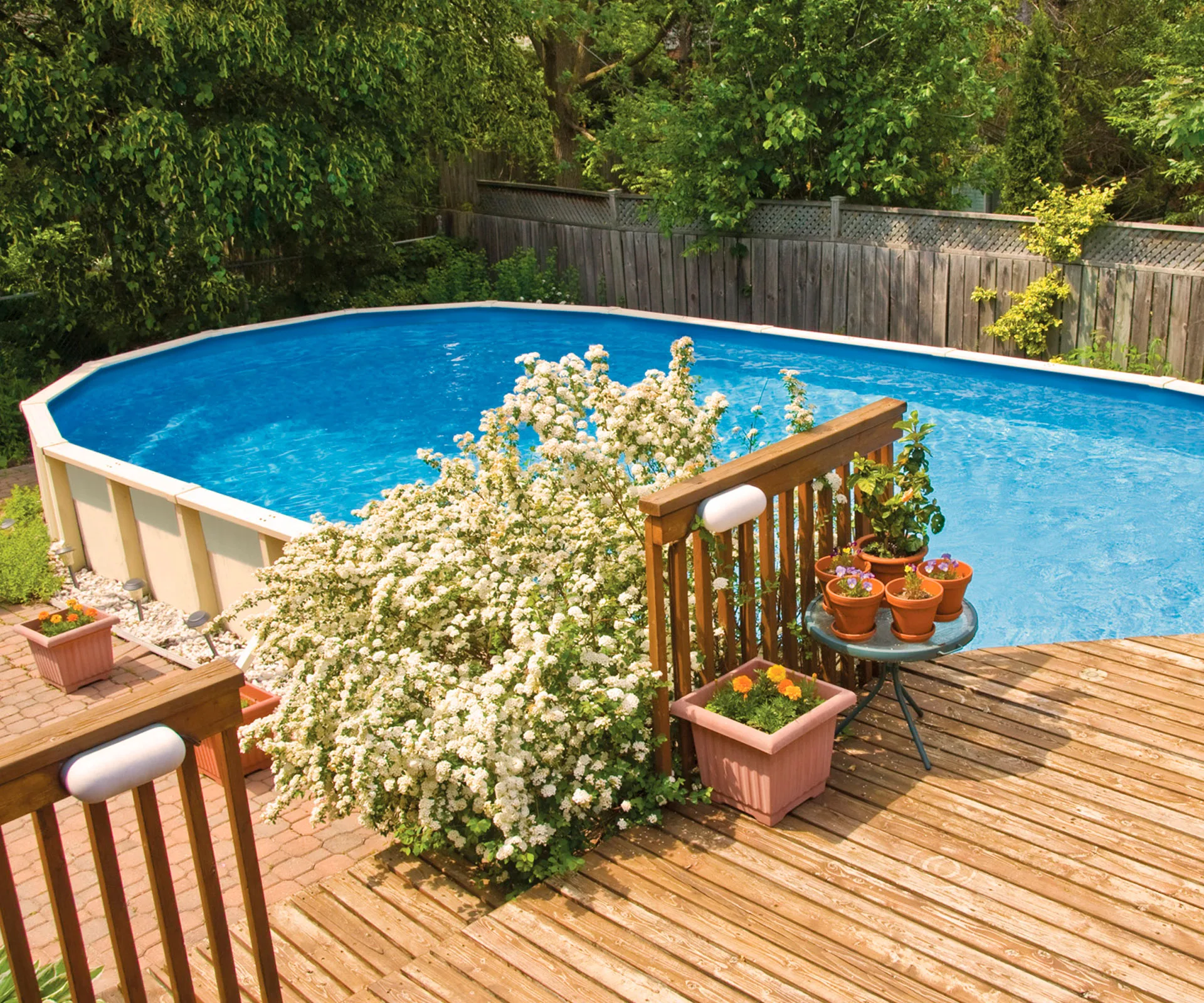 7 swimming pool design ideas and prices to make your dreams a reality