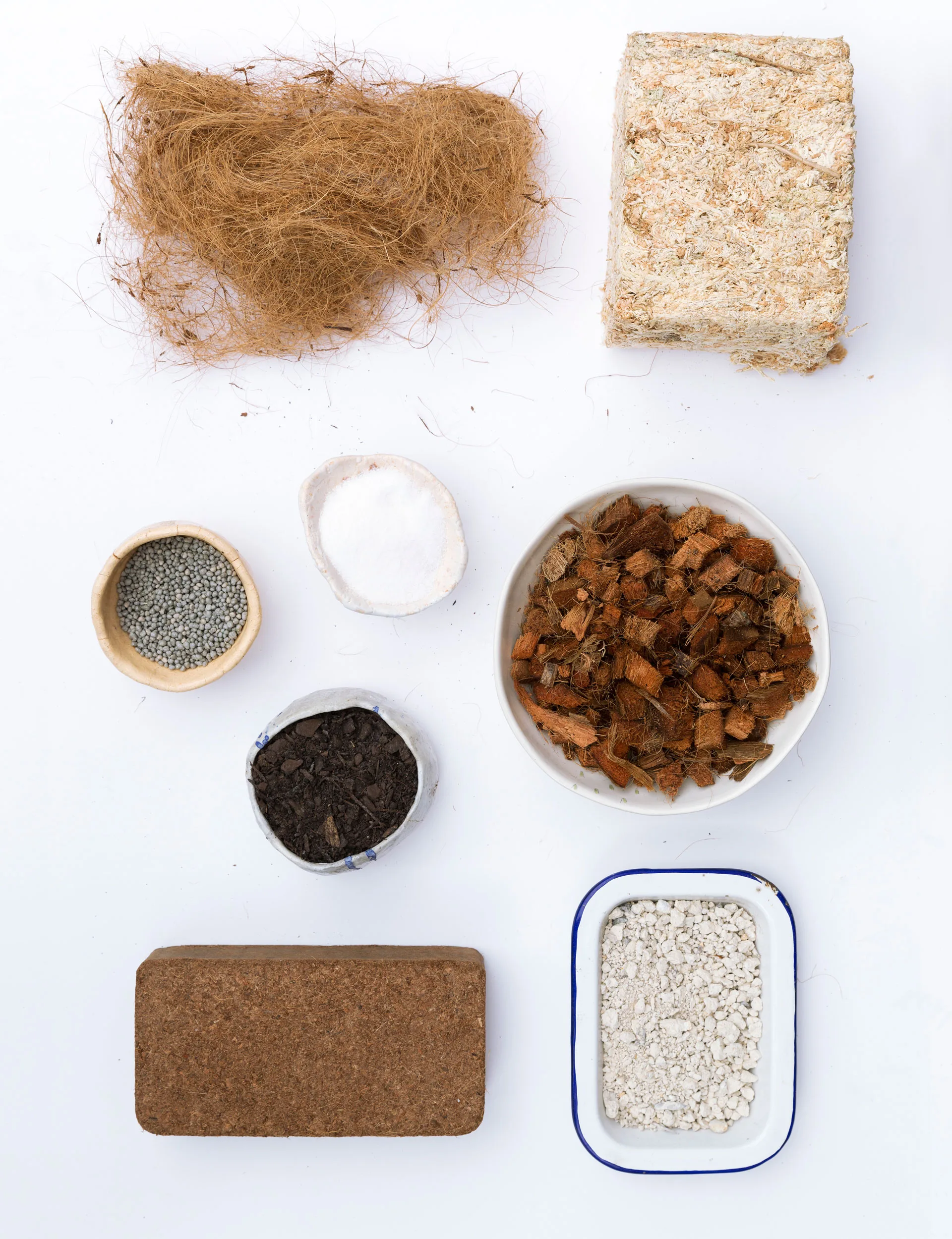 How to make Japanese inspired hanging Kokedama