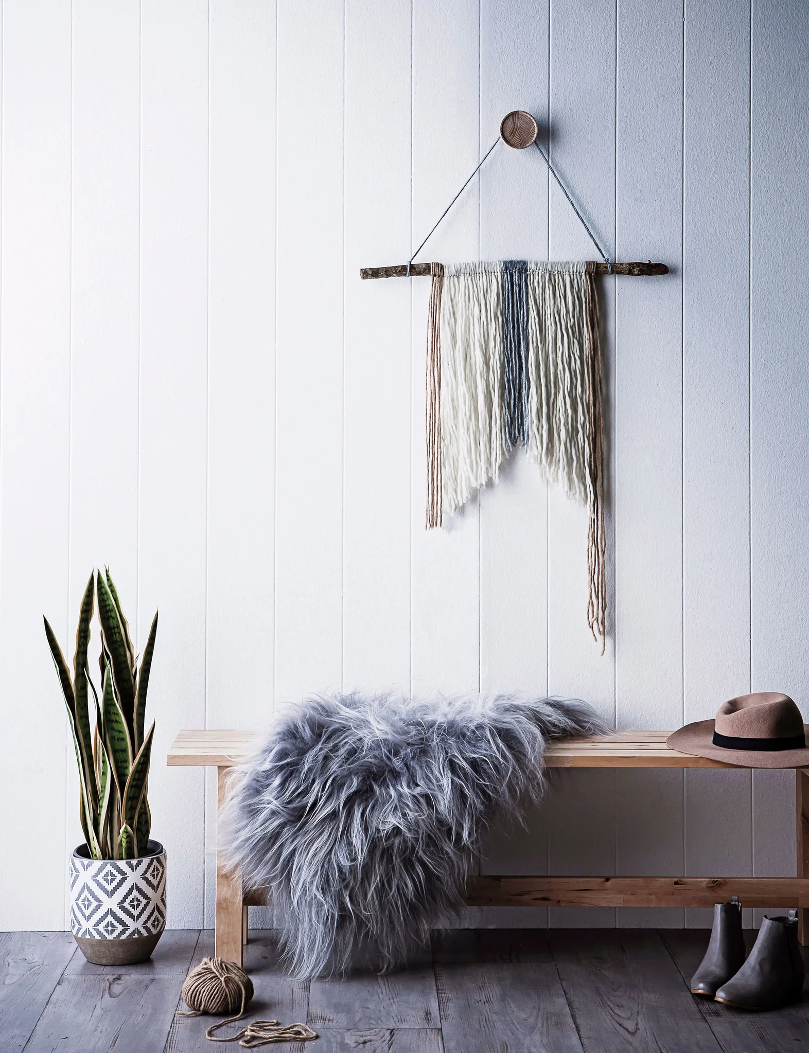 Here's why snake plant is the spiky greenery your home needs