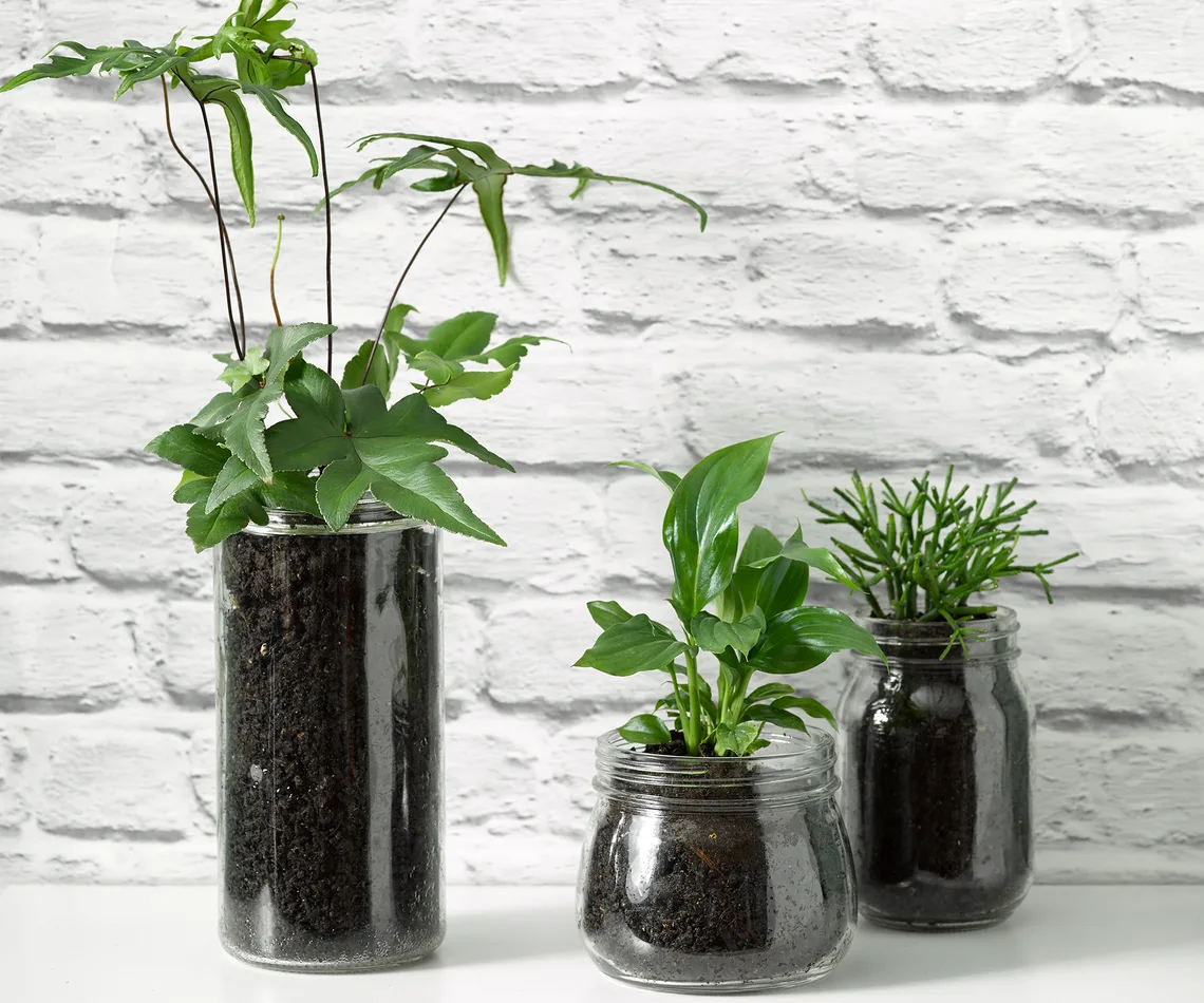 These 4 genius ways to reuse jars will save you a trip to the recycling bin