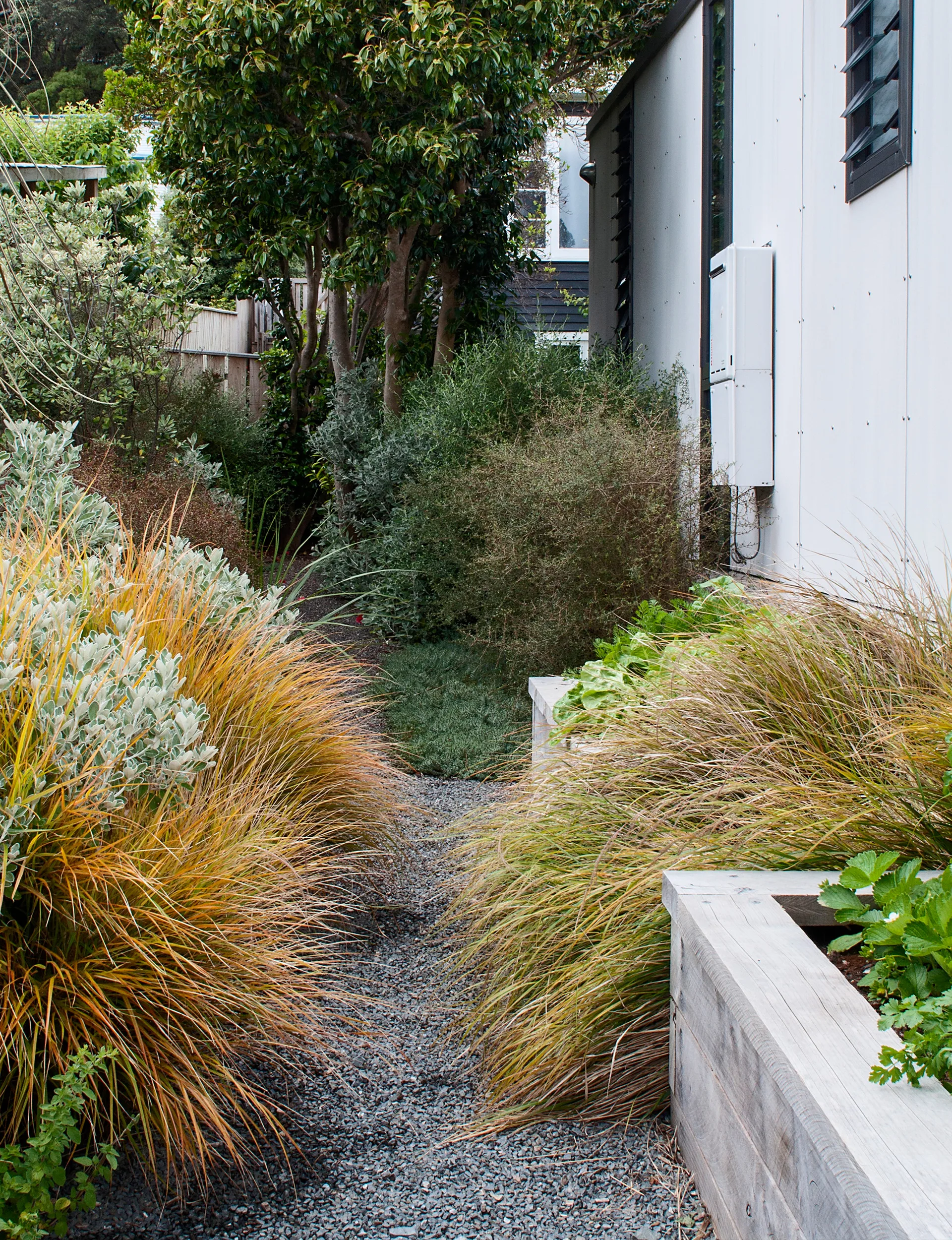 This courtyard garden is a lush oasis for a tightly-packed Wellington home