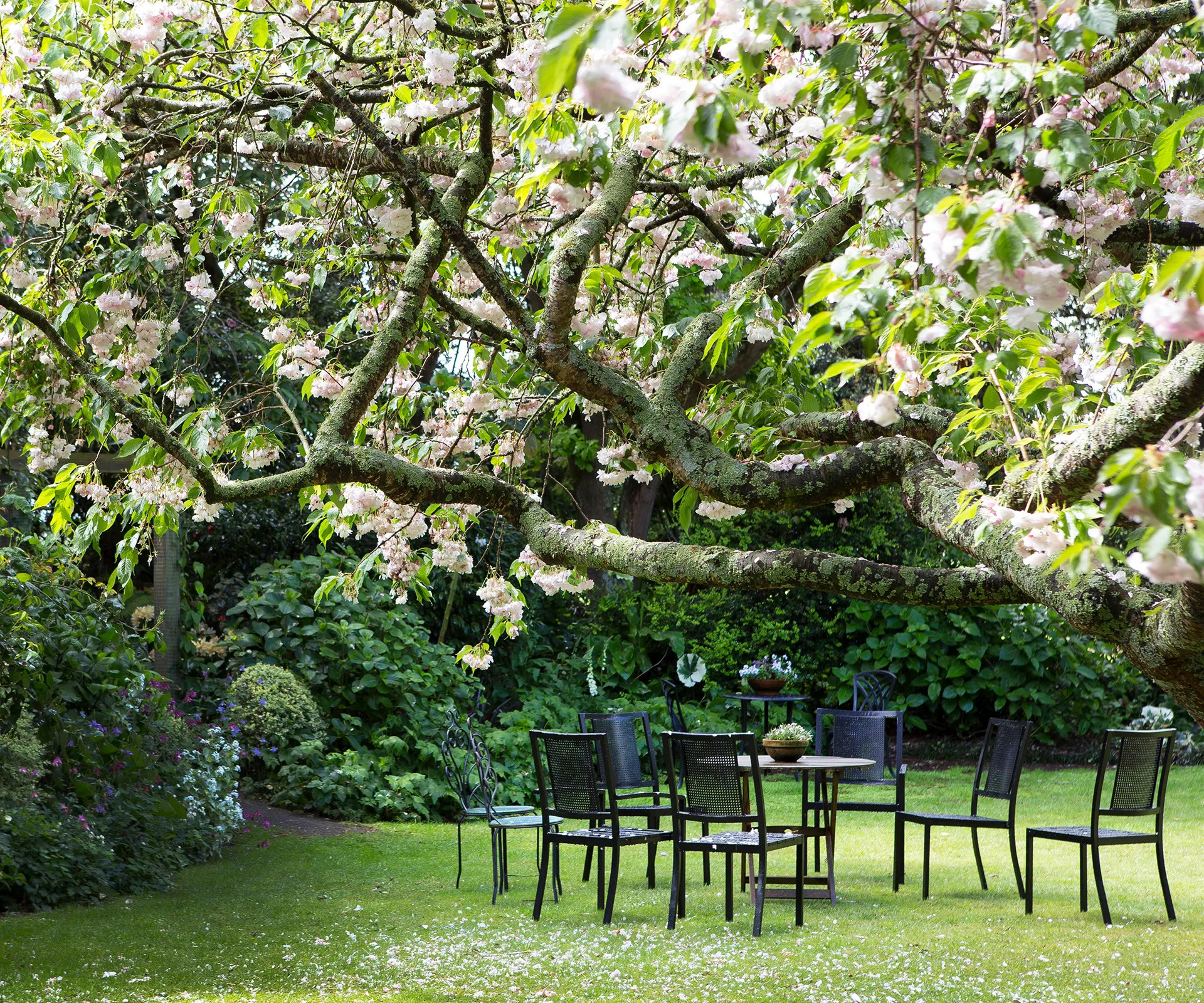 Inside a lush Taranaki garden that brings the whole family together