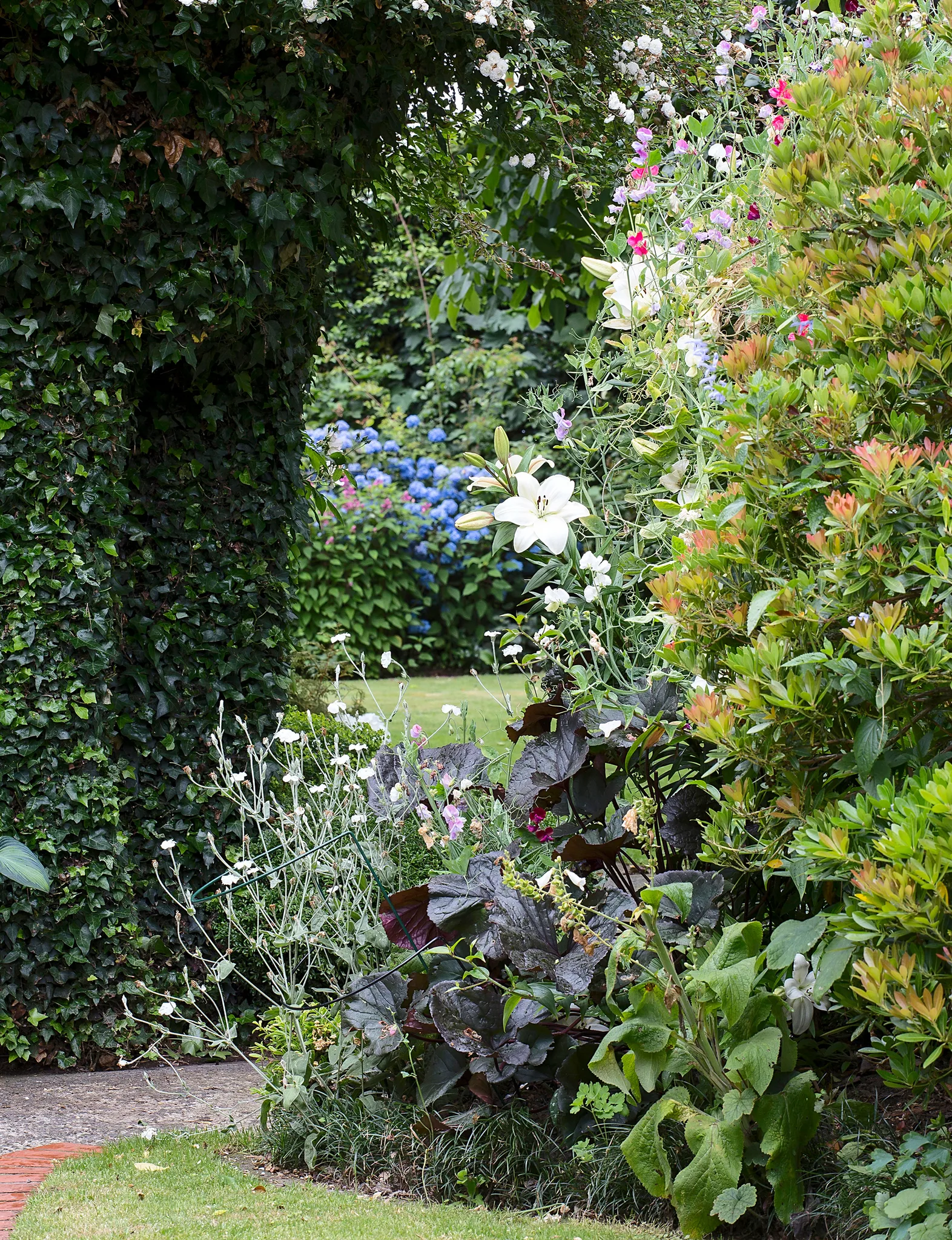 Inside a lush Taranaki garden that brings the whole family together