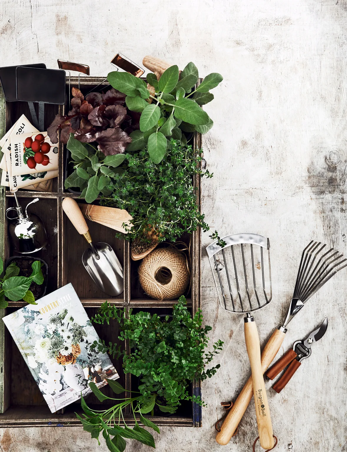 Your guide to all the essential tools you need to care for your garden