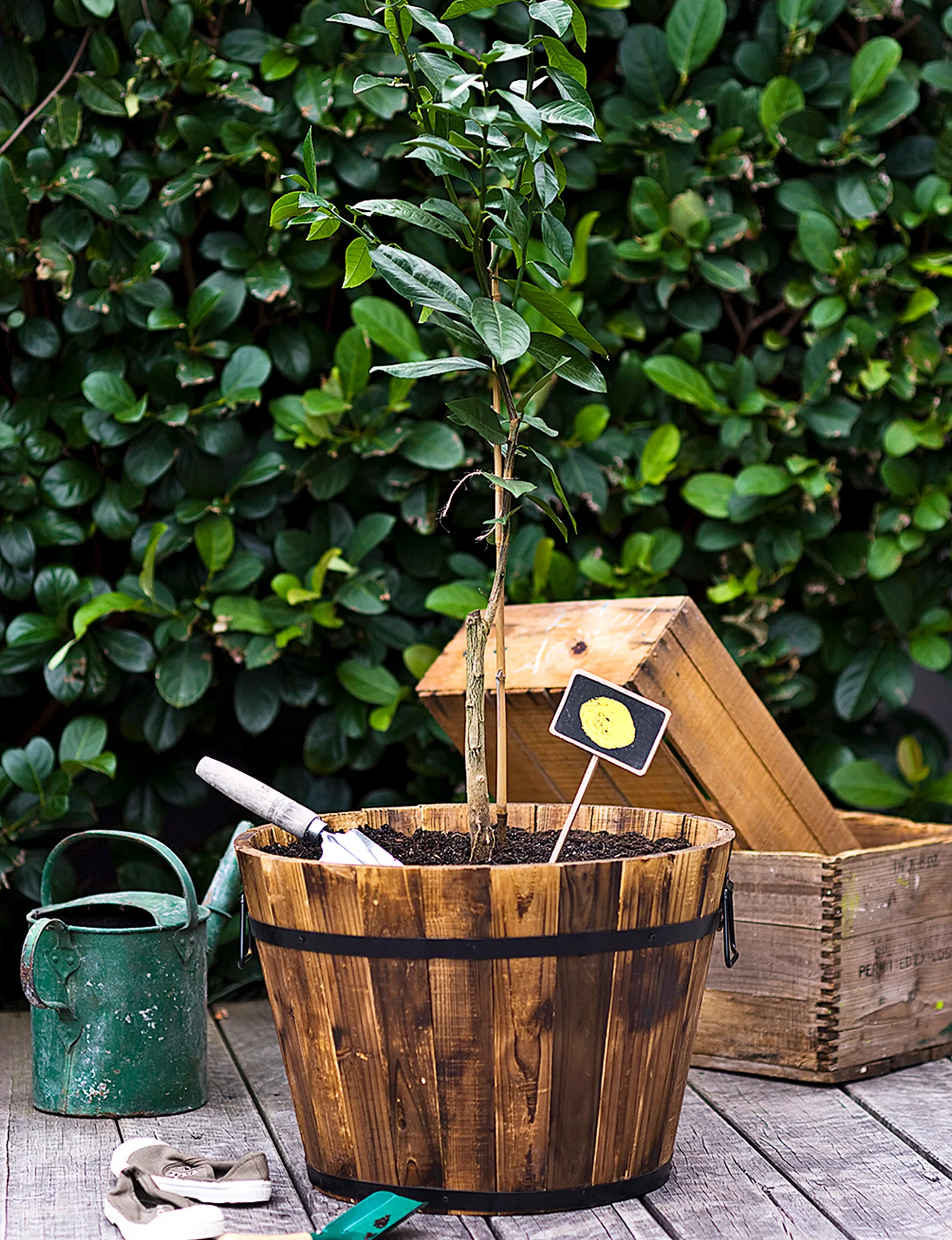 Your guide to all the essential tools you need to care for your garden