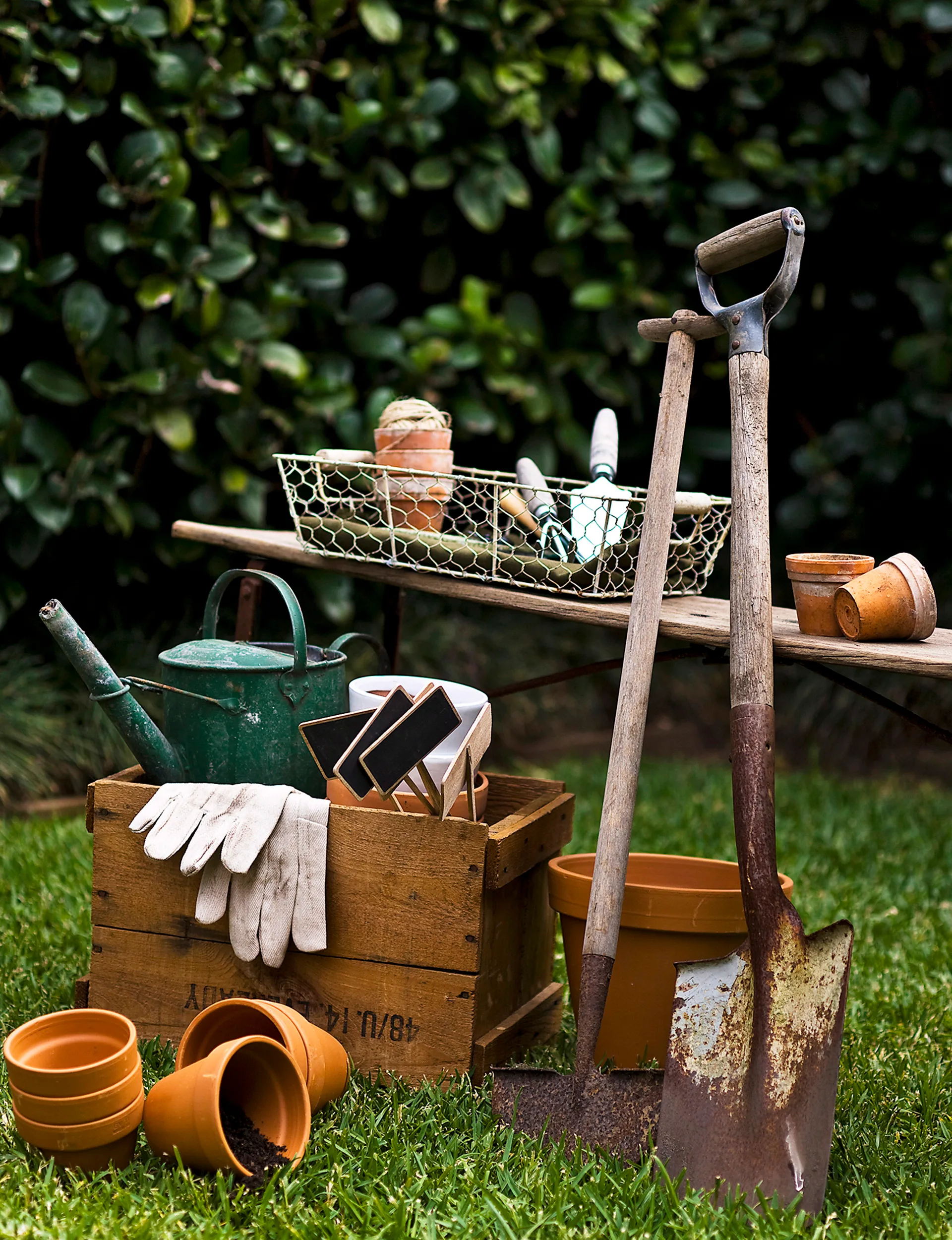Your guide to all the essential tools you need to care for your garden