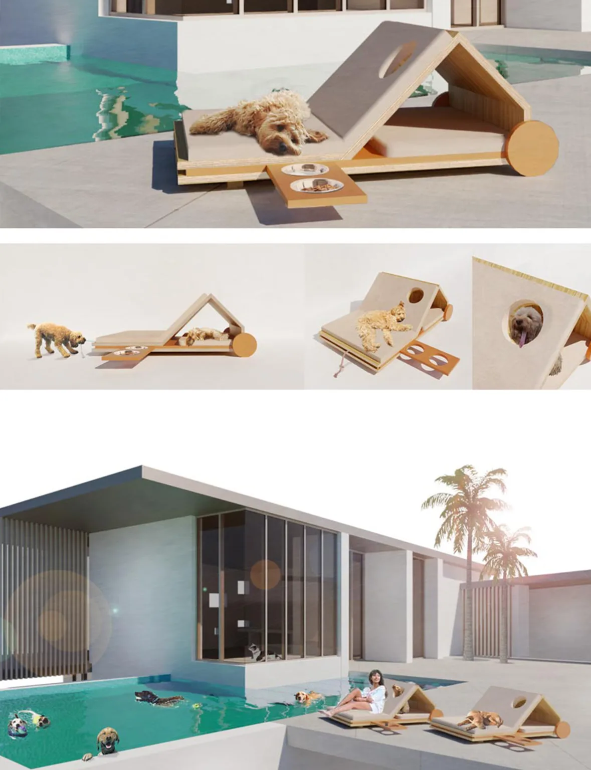 Top Auckland architects create designer dog kennels for charity