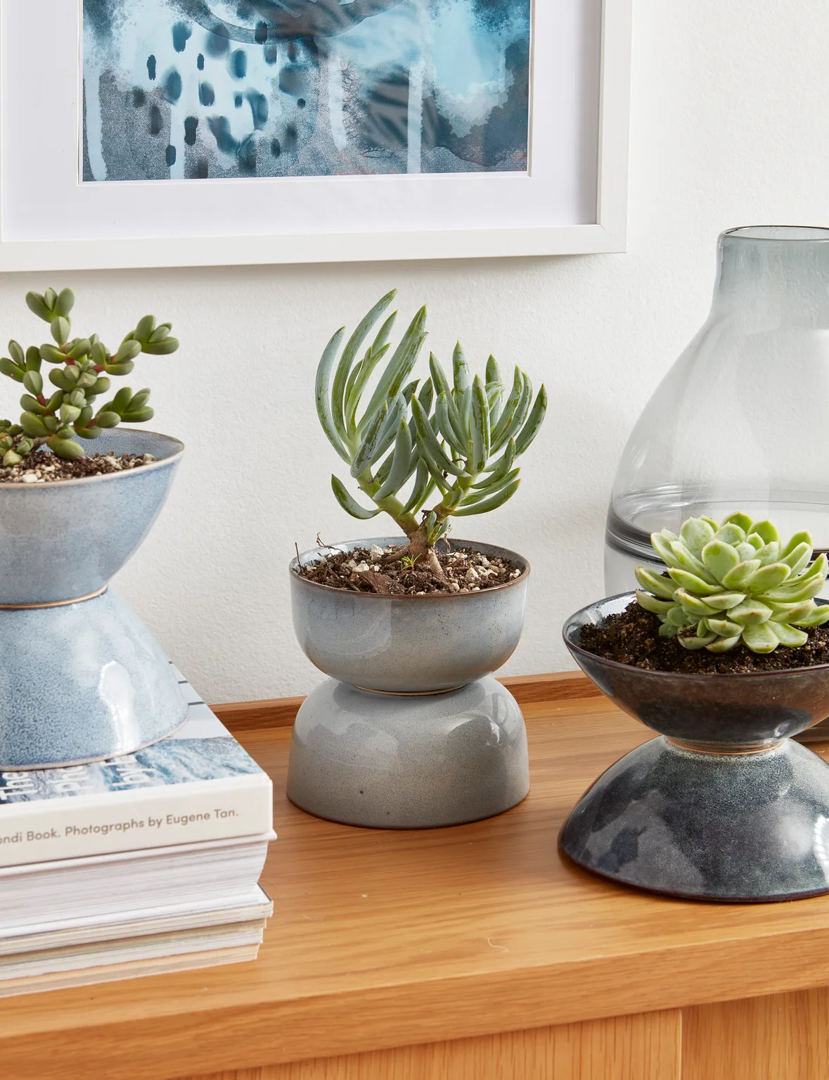 This ceramic bowl hack will transform your indoor plants
