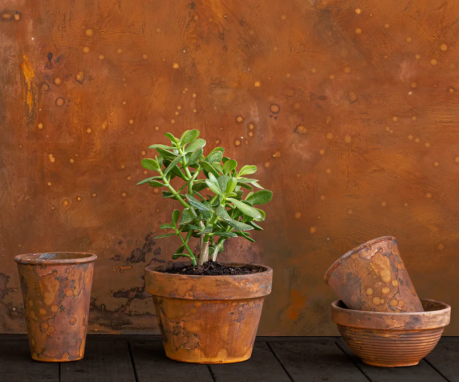 How to use rust effect paint to add old age charm to your outdoor space