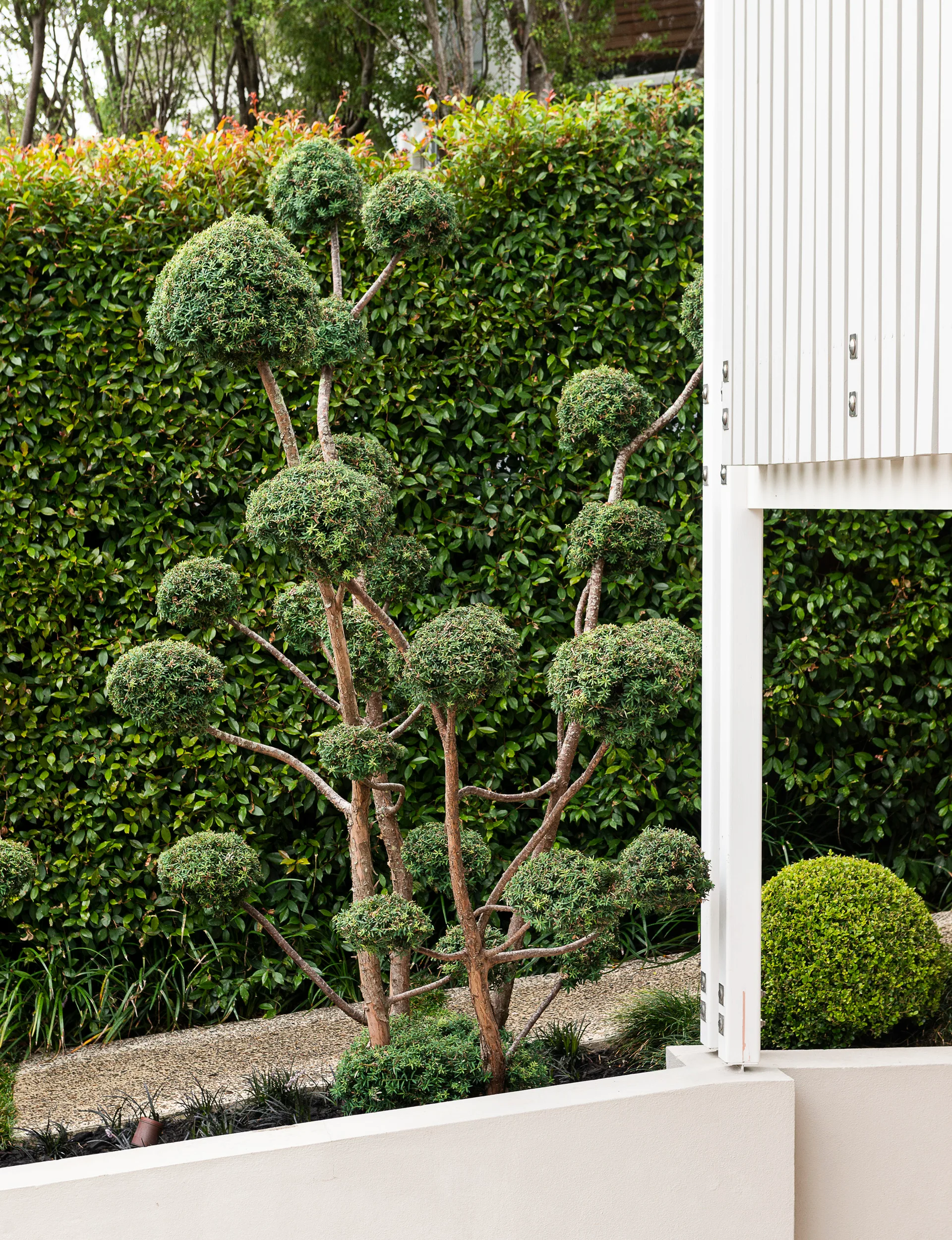The city feels a world away in this subtropical Auckland garden