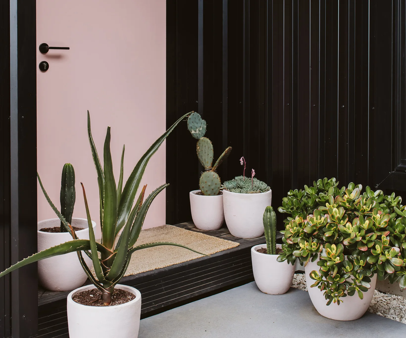 How to choose the right style of planter for your pot plants