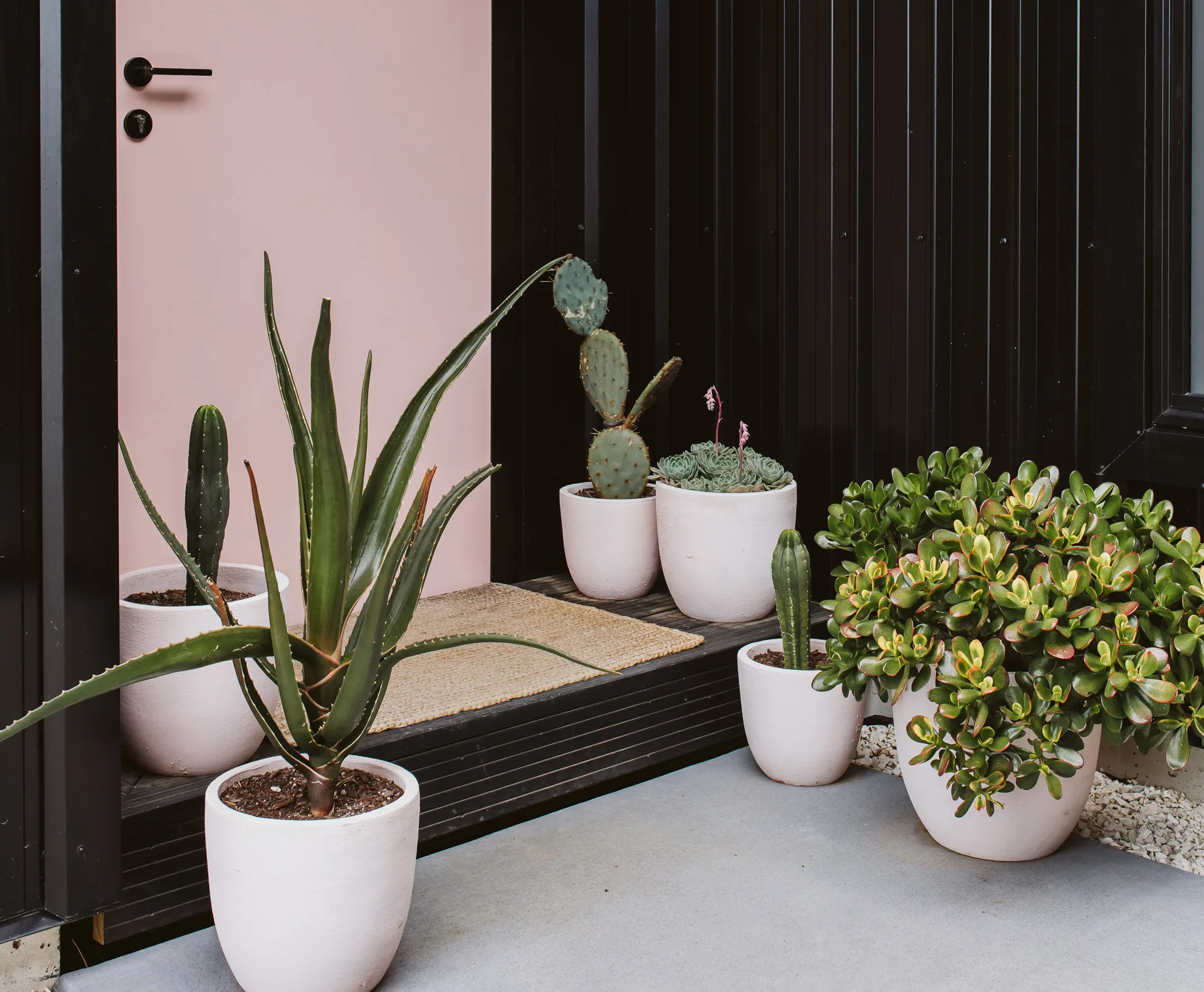 How to choose the right style of planter for your pot plants