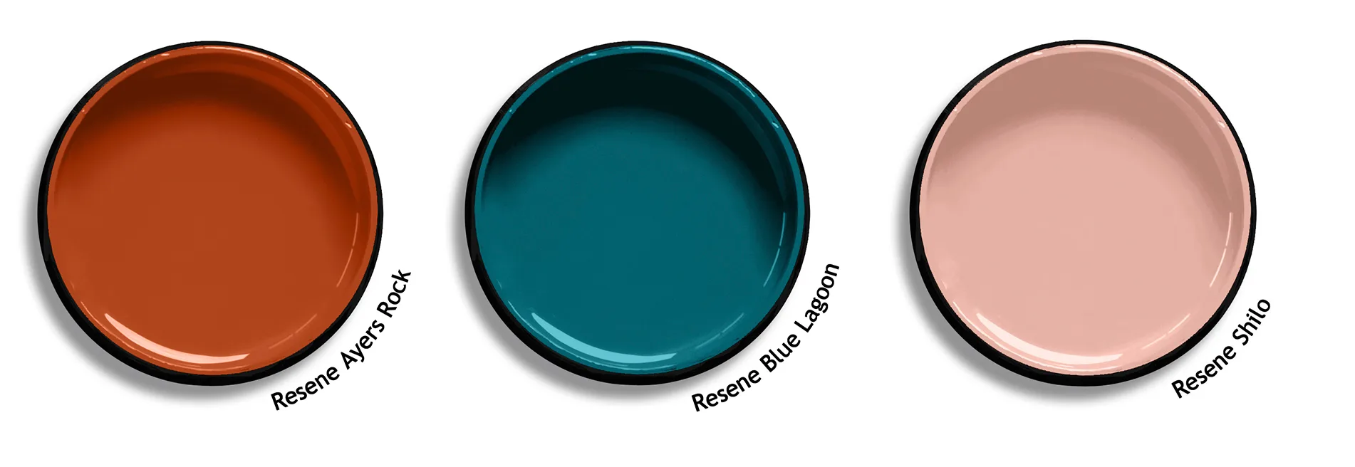 Bold hues regin inside our sixth 2021 Resene Colour Home Awards finalist