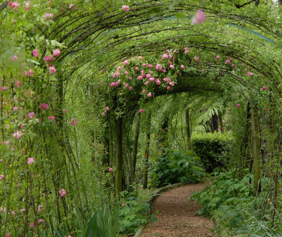 Give your garden some direction with a beautiful garden path