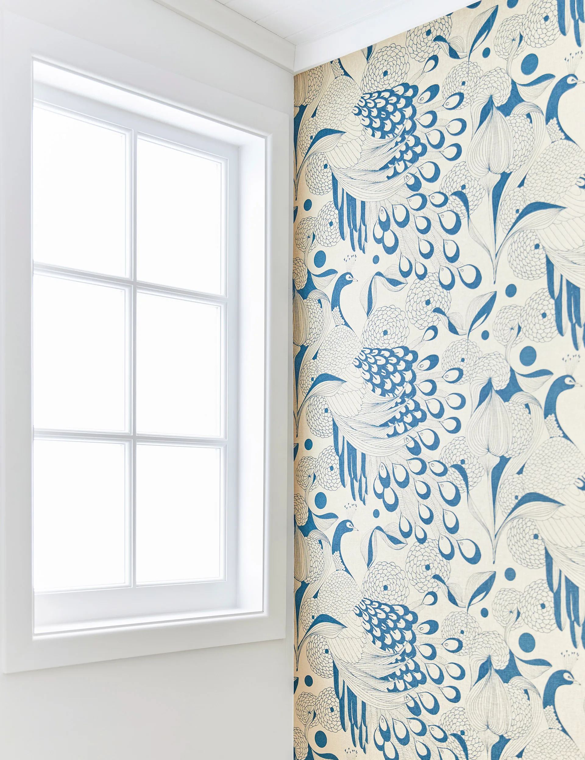 The fifth Resene Colour Home Awards finalist revitalised a historic ...