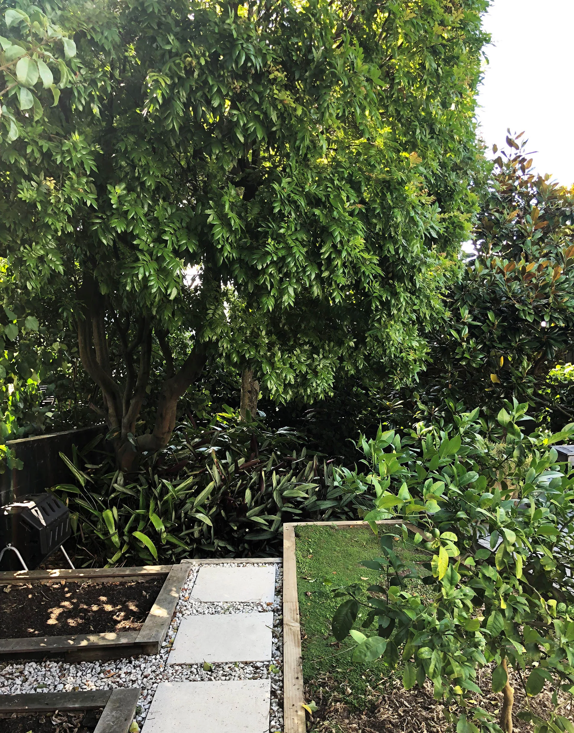 Your guide to picking which native plant suits your space - Your Home ...