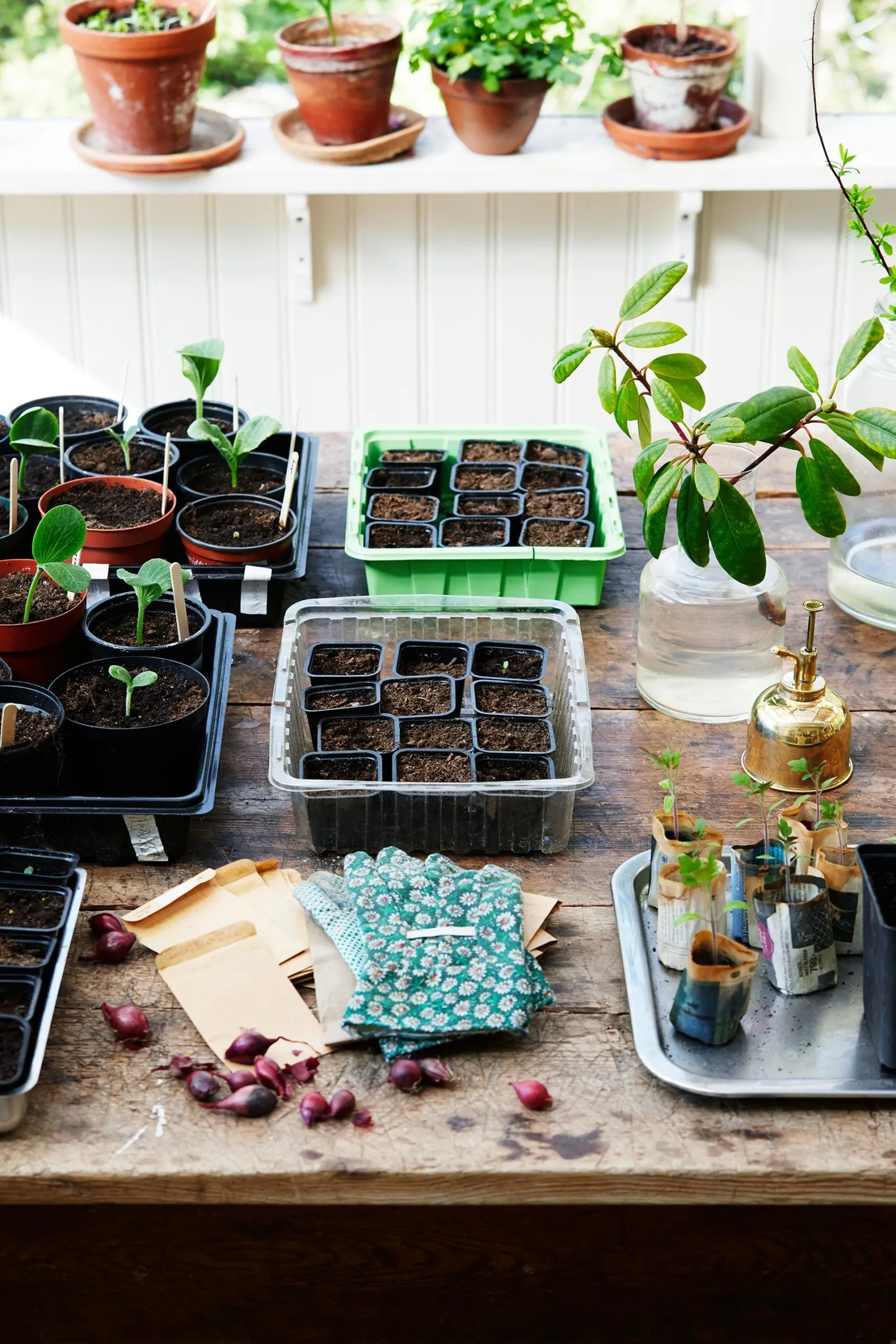 How to: Vegetable gardening in small spaces - Your Home and Garden NZ