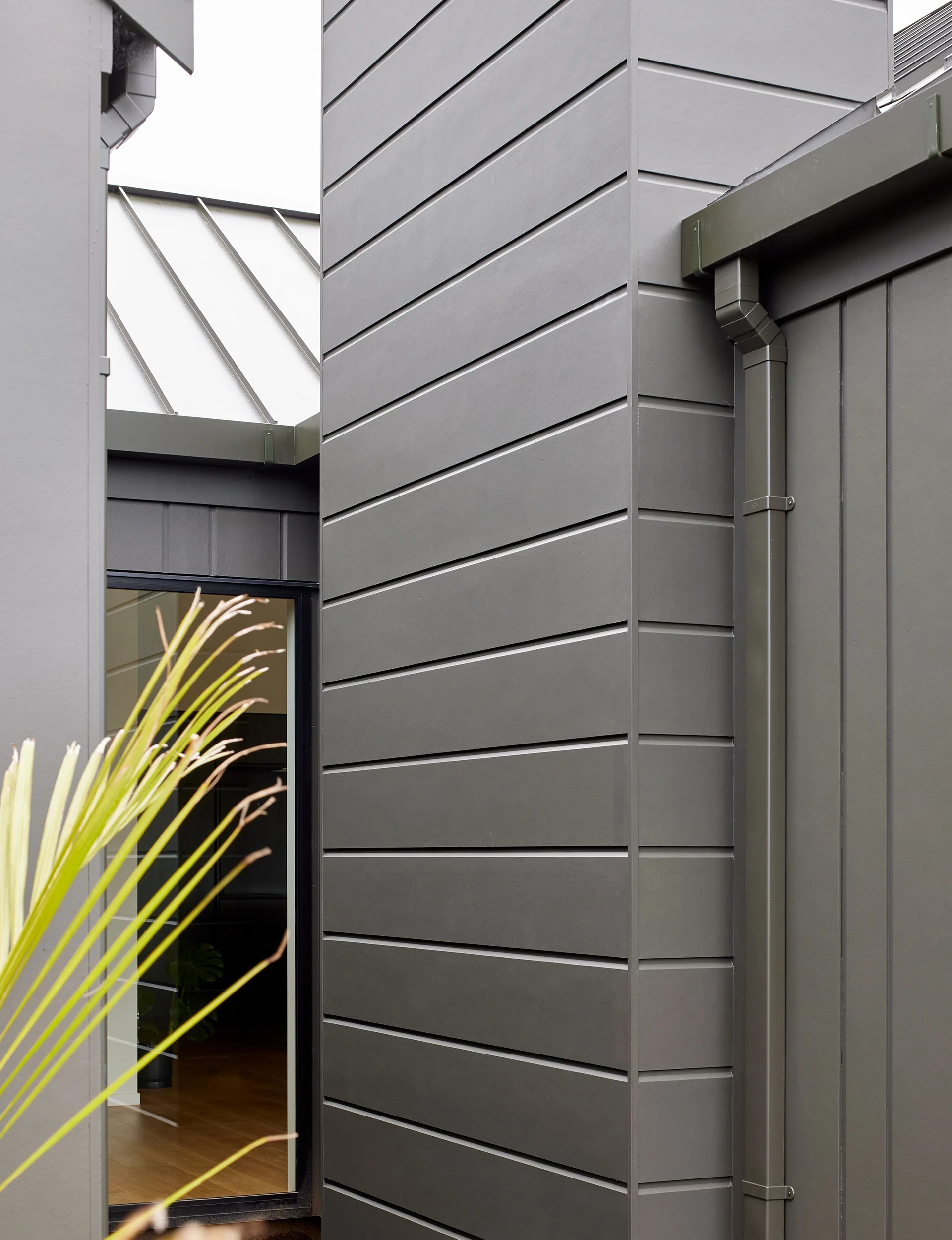 This couple left the city to build their home on an avocado farm - Your ...