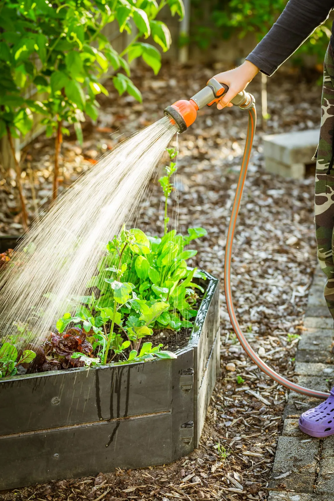 9 tips for conserving water in the garden - Your Home and Garden NZ