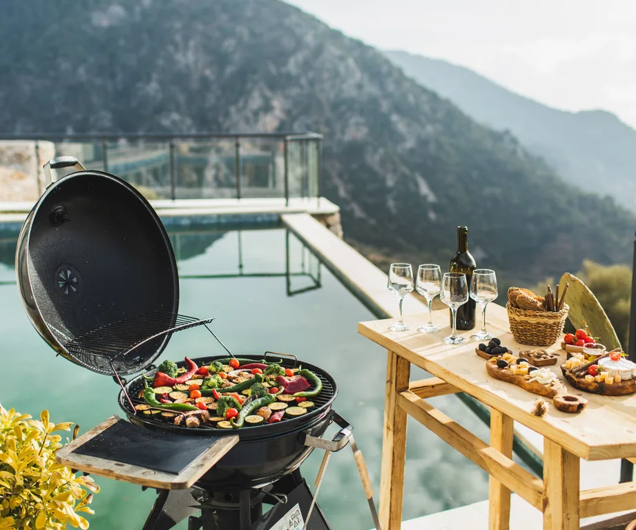 BBQ guide: These are the best barbeque models to buy in NZ