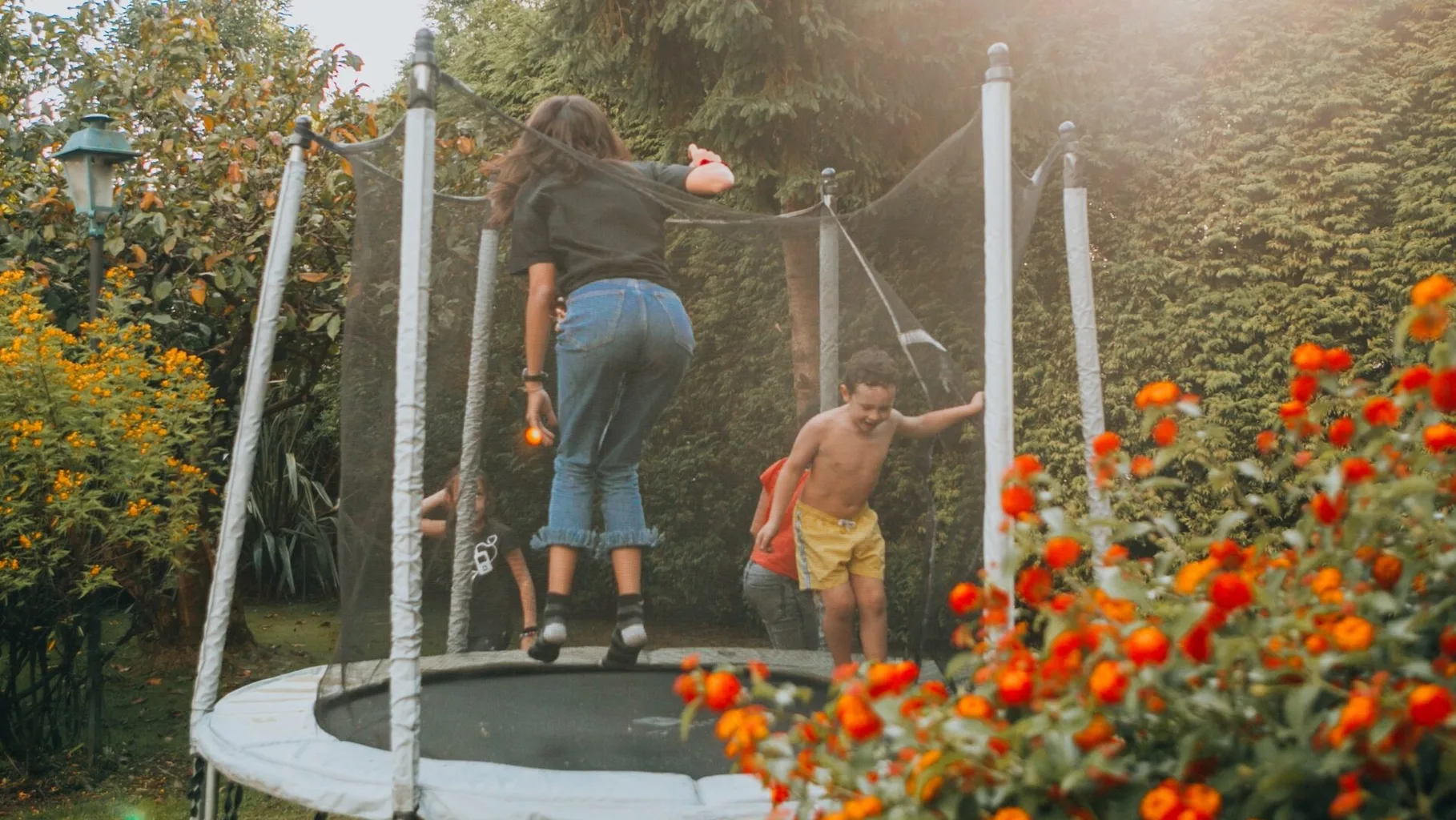 This guide to choosing pot plants will make you look like a pro gardener