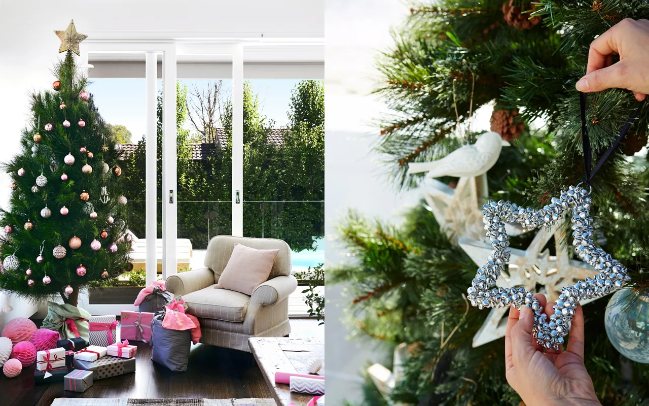 Where to buy the best real Christmas tree in Auckland, NZ