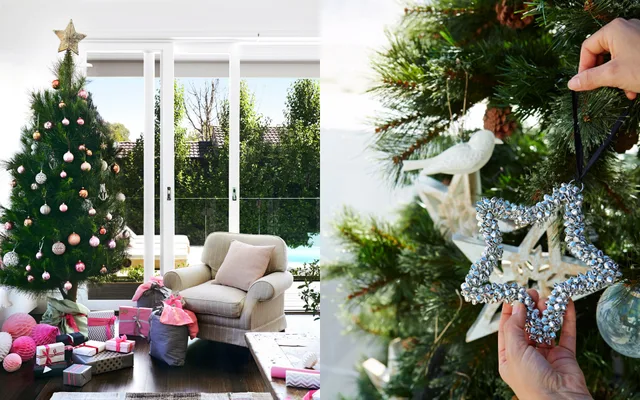 Where to buy the best real Christmas tree in Auckland, NZ