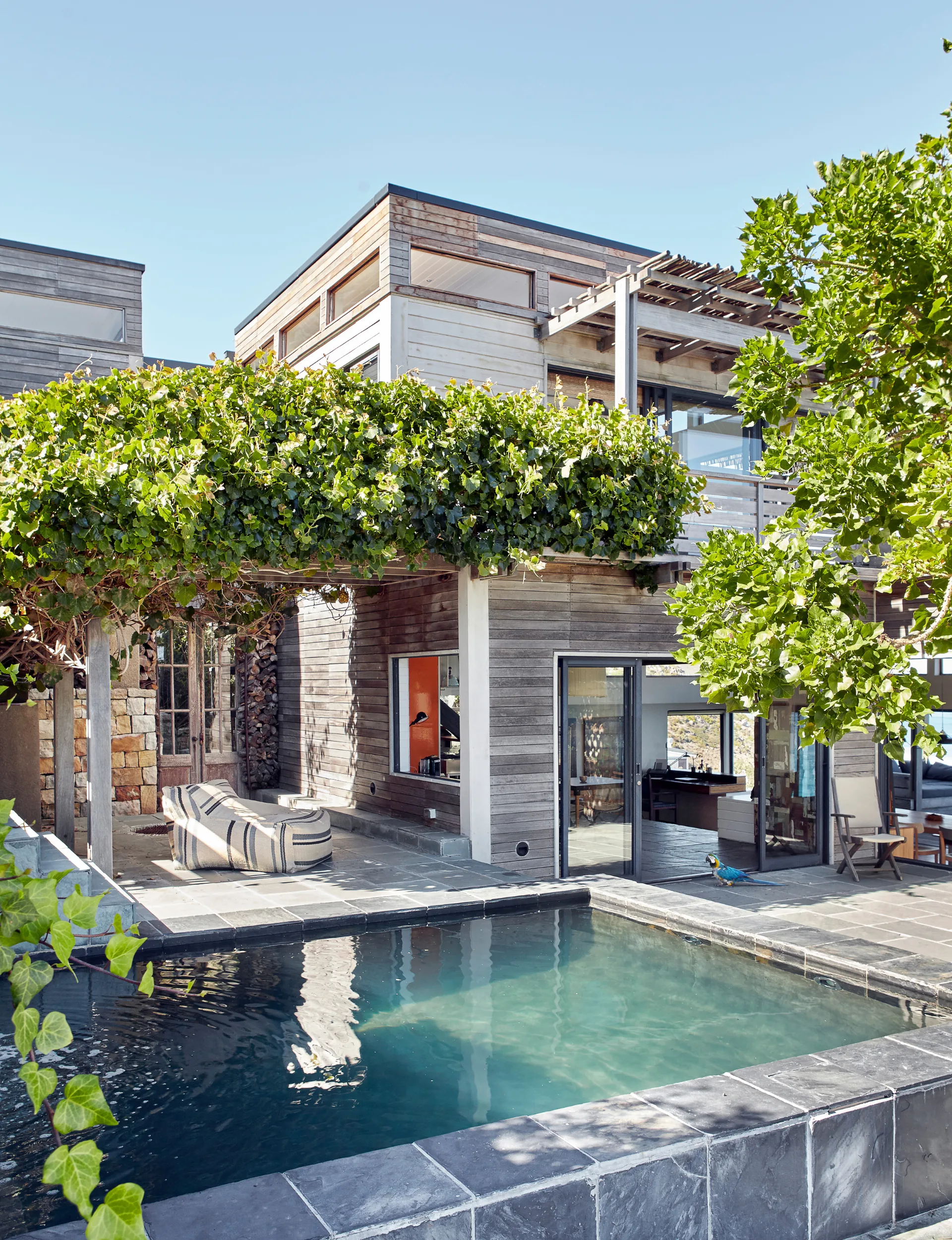Take the plunge: Five small pool ideas for shrinking backyards