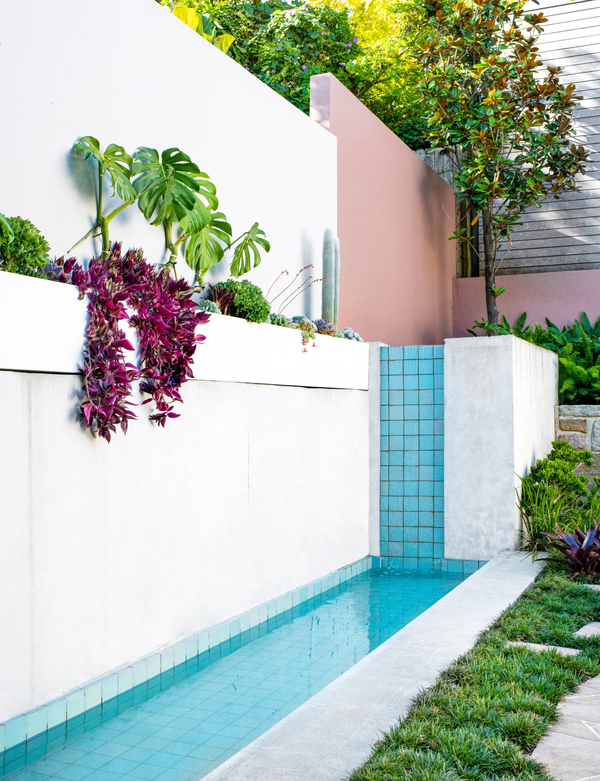 Take the plunge: Five small pool ideas for shrinking backyards