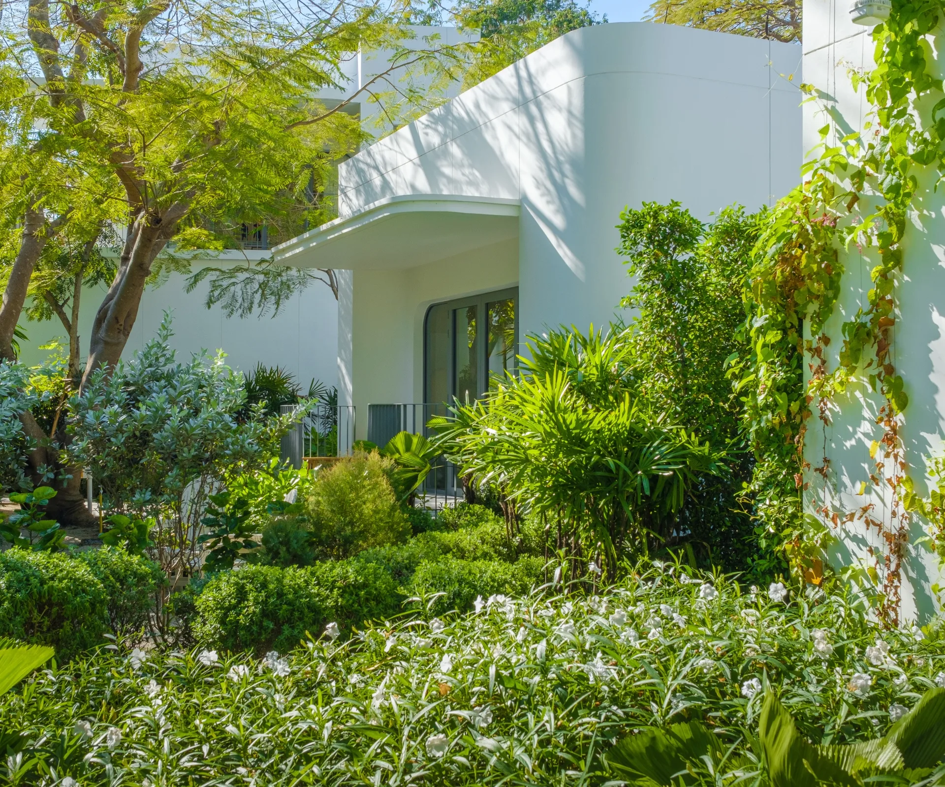 What to do in your garden over summer